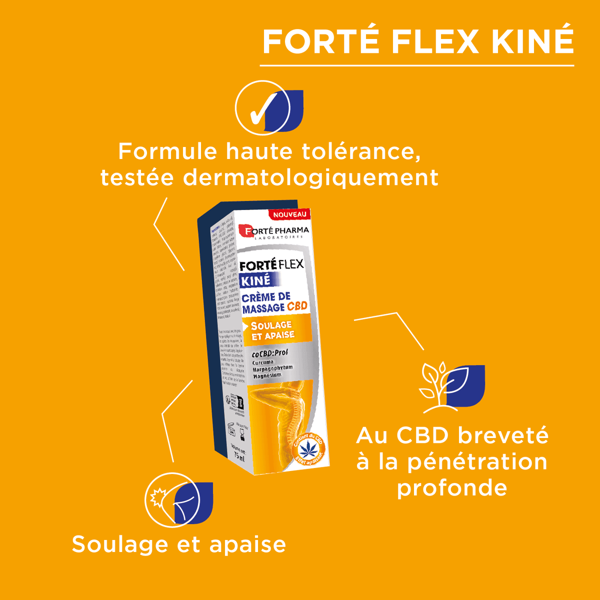 Forté Flex Kiné Crème de massage CBD | Forté Pharma